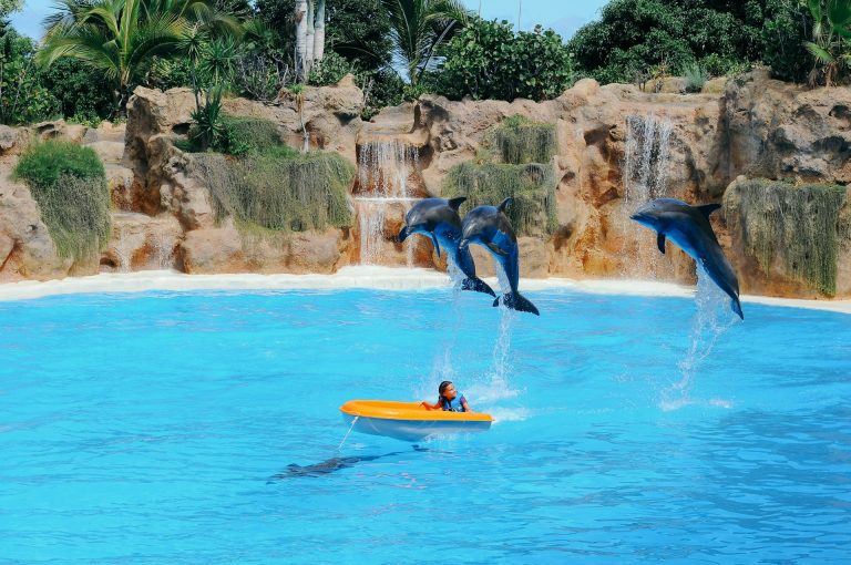 25 utrolige ting å gjøre på Tenerife - ReiseKroken.no