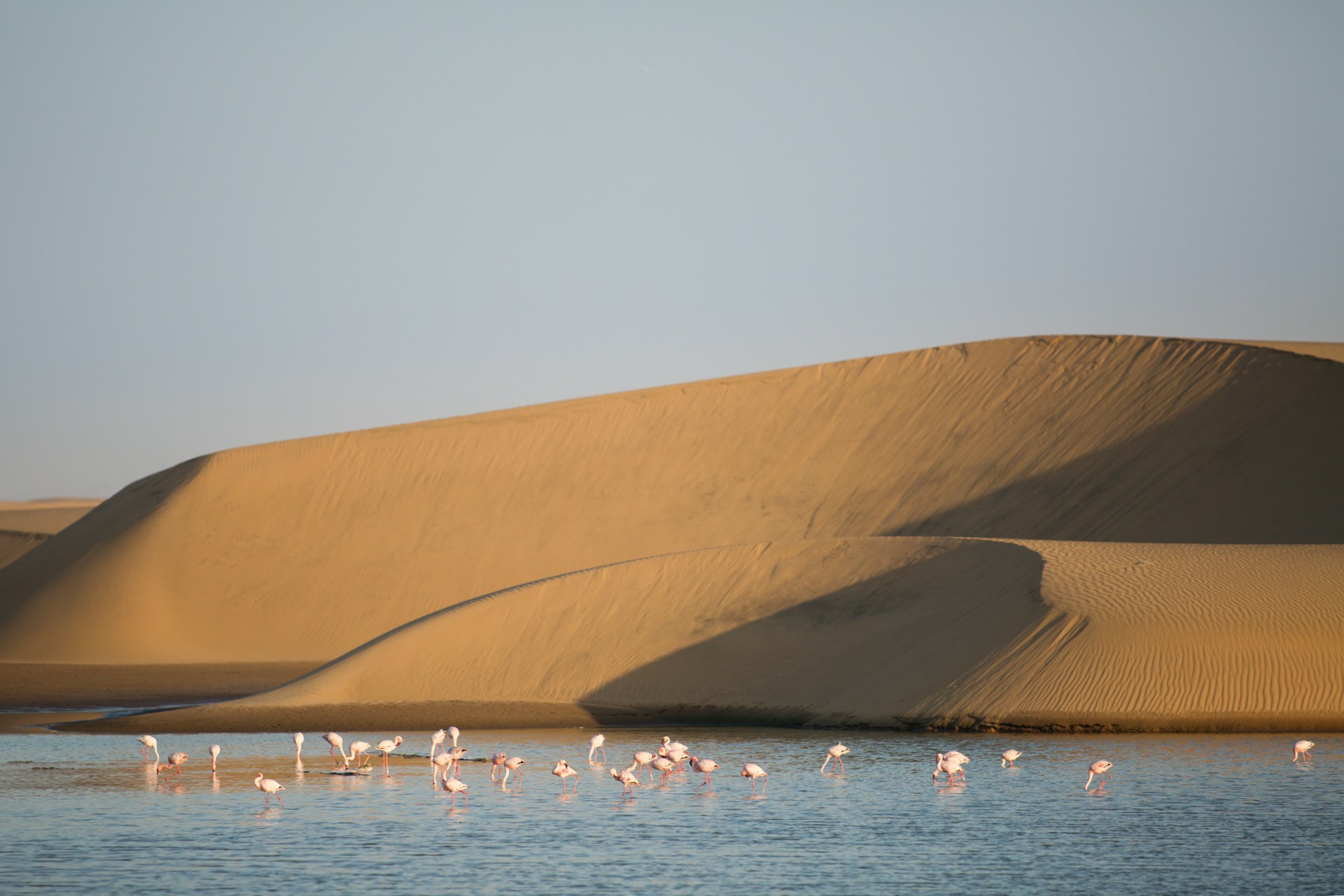 Reiseguide til Walvis Bay i Namibia - ReiseKroken.no