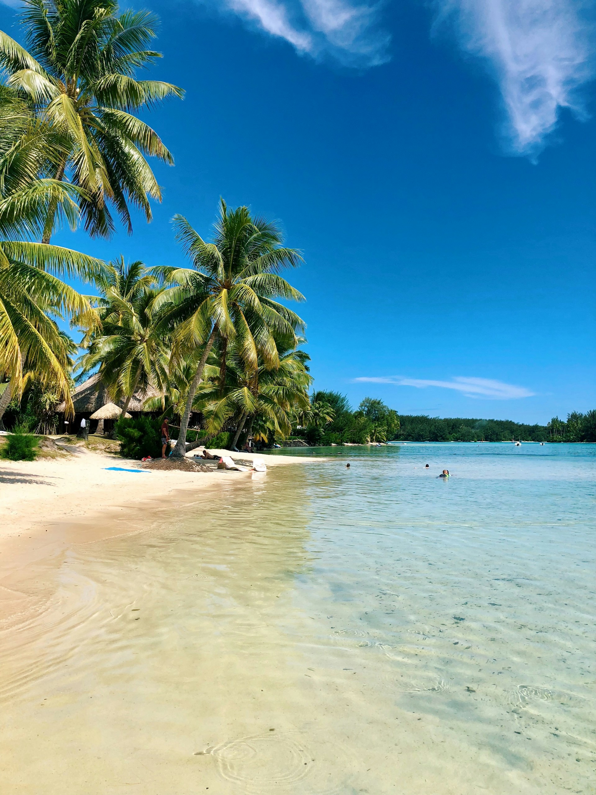Reisetips til Fransk Polynesia – et tropisk paradis i Stillehavet ...